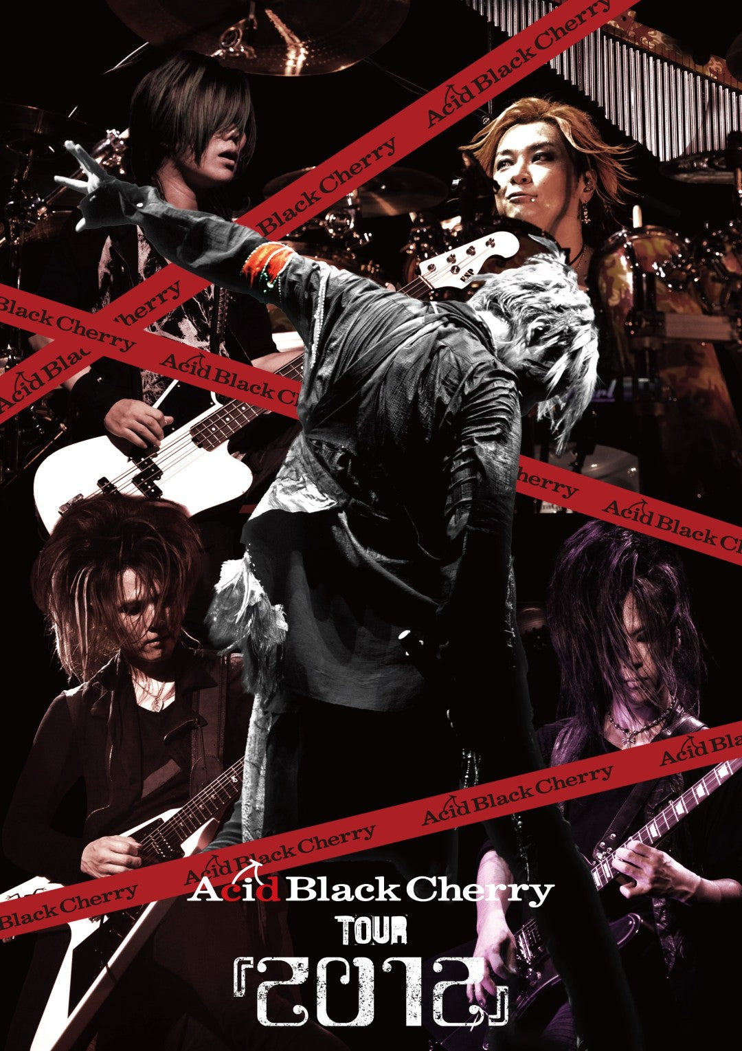 Acid Black Cherry／Acid Black Cherry TOUR 『2012』