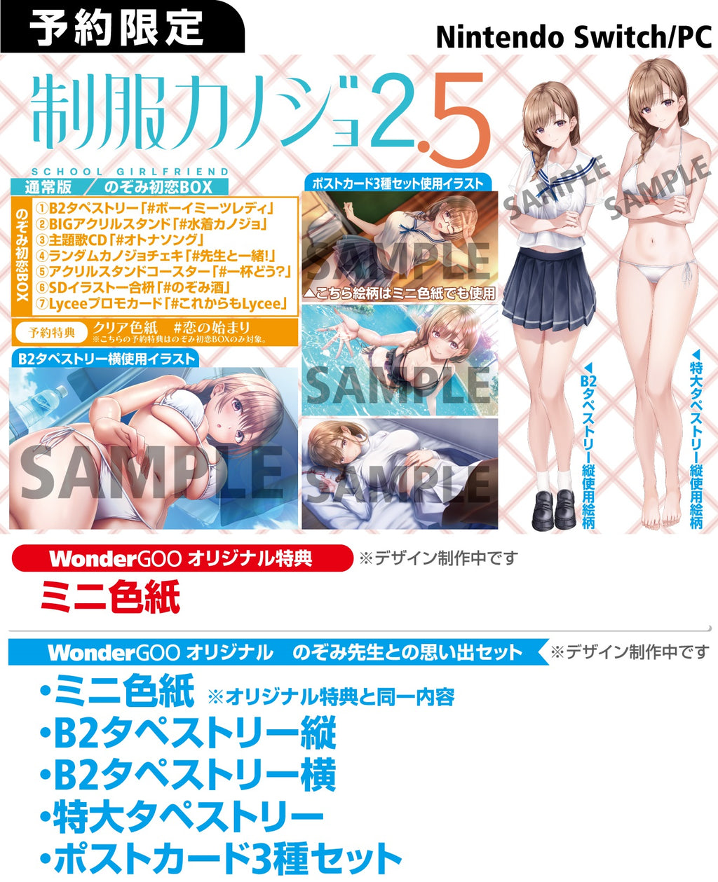 【WonderGOOオリジナル のぞみ先生との思い出セット】制服カノジョ2.5 のぞみ初恋BOX＜PC＞20250828